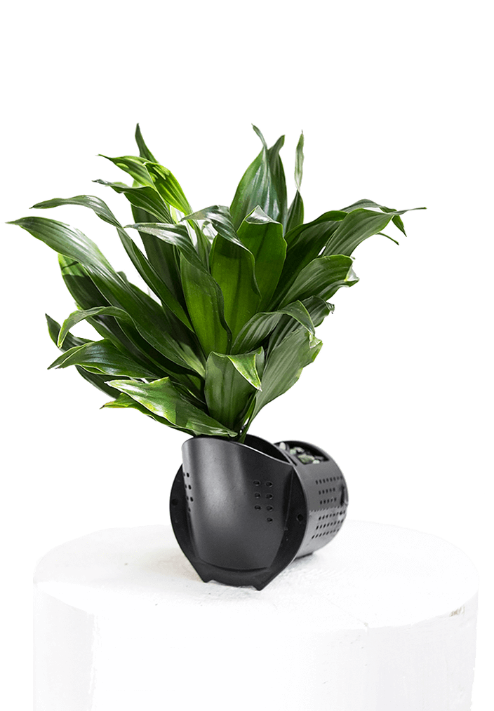 Science & technology